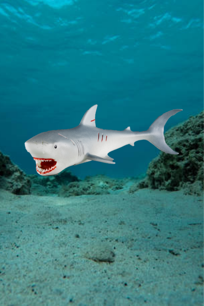 Sharks - PLANET WOW